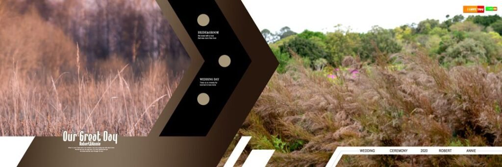 Pre Wedding Album Design 12x36 Sheet Download 127 - PsdAdda