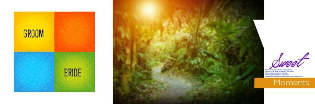 Wedding Album DM 12x36 PSD Templates vol 190 - PsdAdda