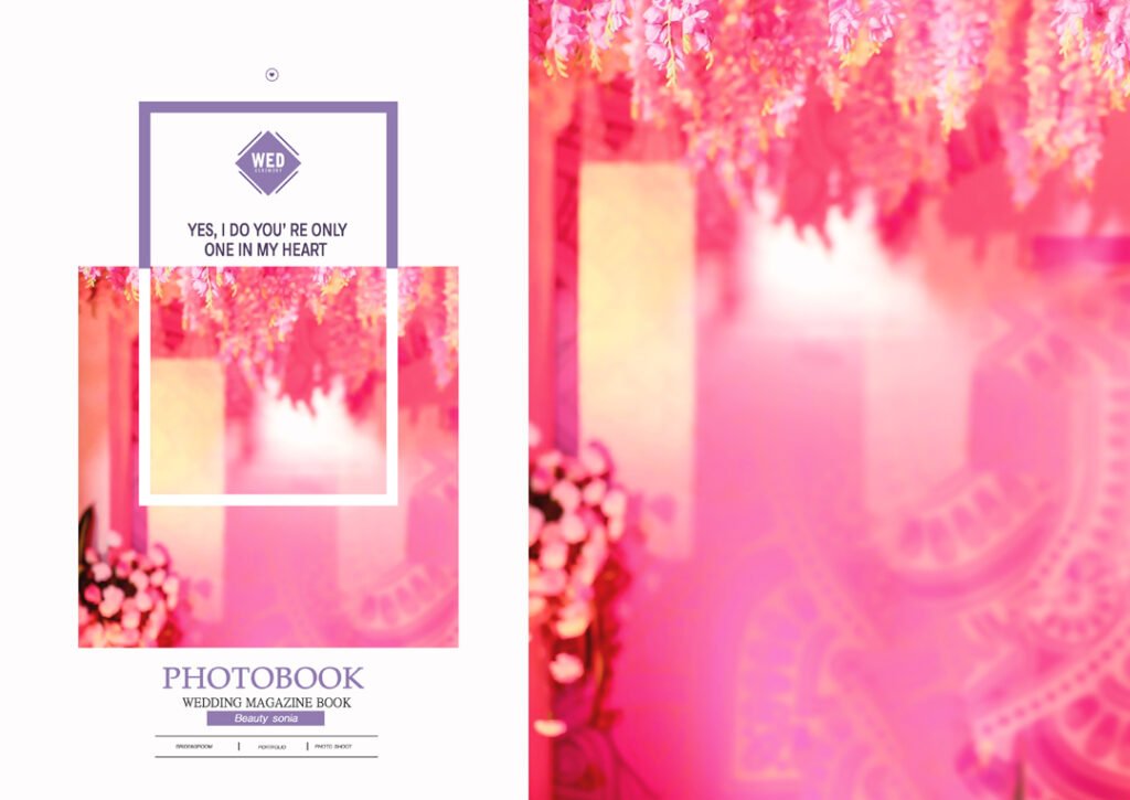 Amazing 16X24 Album Design PSD Templates Vol-207 - PsdAdda