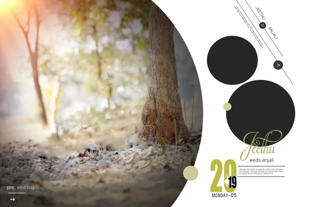Wedding Album PSD 16x24 Free Download Vol-209 - PsdAdda